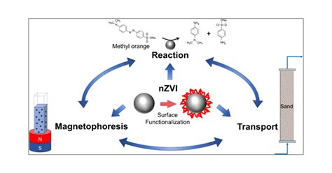 Exploring The Impact Of Surface Functionalization On The Reaction Magnetophoretic And