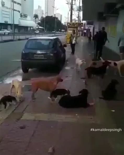 Video Swati Sharma Posted On Linkedin