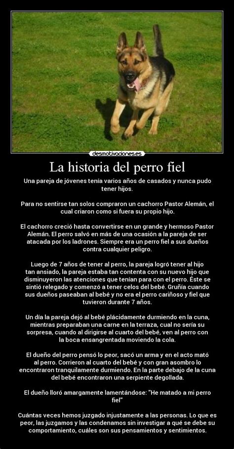 La Historia Del Perro Fiel Desmotivaciones