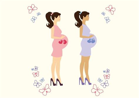 Pregnant Woman Vector Illustration Masterbundles