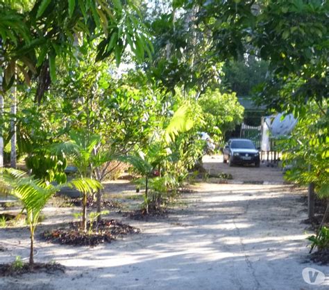 Lindo E Luxuoso Sitio Em Rio Preto Da Eva 🥇 【 Ofertas 】 Vazlon Brasil