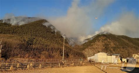 대구 군위군 산불 산림 145㏊ 태우고 19시간 만에 진화