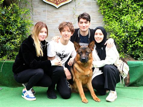 Mino Alman Çoban Köpeği Yavru Elit Yavru
