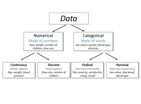 Numerical Vs Categorical Data Slide Course