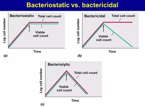 Antibacterials Key Principles And Beta Lactam Drugs Flashcards Quizlet
