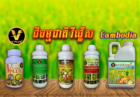 ដំណាំ พืชผล តើមានកត្តាអ្វីជួយឱ្យគ្រាប់ស្វាយចន្ទីស្រស់នៅតែ Facebook