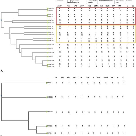 Antibiotic Residue Detection Spectra Note A Amoxicillin Standard Download Scientific Diagram