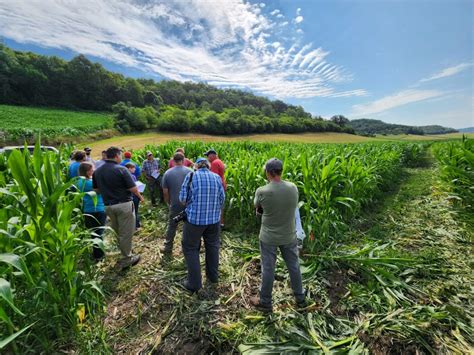 Corn Agronomy Crops And Soils