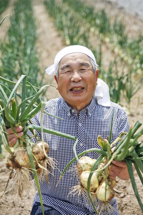 Japanese Farmer Man Senior Who Works Cheerfully And Cheerfully Stock