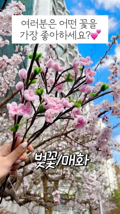뽀몽샵 모루꽃 모루인형 키링 Diy 수업 공예키트 엄마 아빠 선생님 사랑해요💕🌷 정성을 담아 마음을 표현해보세요 꽃향기 스프레이 칙칙 뿌리면 생화같지만 시들지 않는