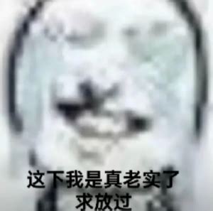 已老实求放过是什么梗 集说说
