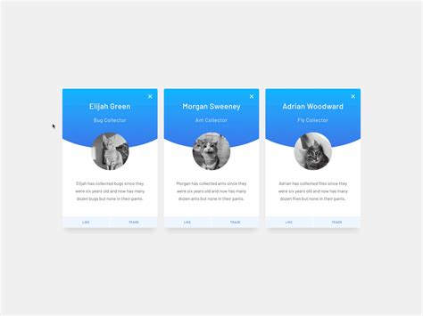 Css Hover Designs Themes Templates And Downloadable Graphic Elements