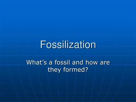 PPT Fossilization PowerPoint Presentation Free Download ID 1172720
