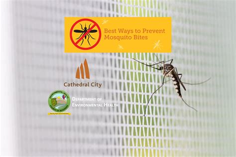 Protect Yourself From Mosquito Bites During National Mosquito Control