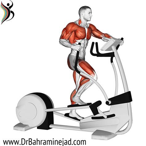 Aerobic Training Dr Bahraminejad