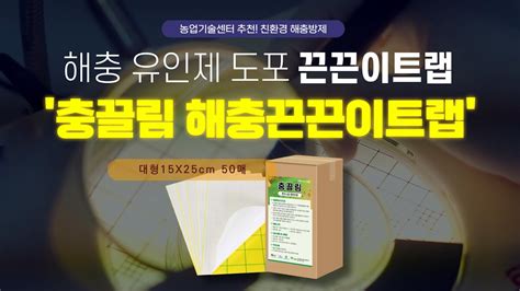 농업기술센터 추천 친환경 해충방제 해충끈끈이트랩으로 예찰과 방제까지 숨어있는 해충까지 유인해주는 충끌림 해충끈끈이트랩 추천 농업기술센터 와이앤바이오 해충