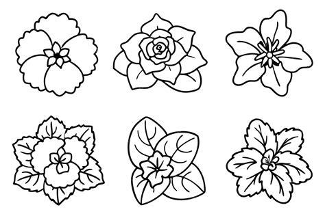 Premium Vector Begonia Flower Line Art