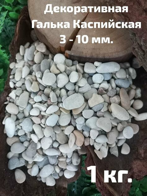 Декоративная галька для клумб белая — купить по низкой цене на Яндекс ...