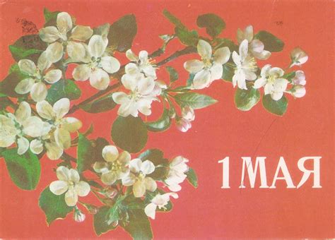 Первомай Блог «ВО круг книг библиотеки им А С Пушкина и библиотек Челябинска