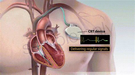 Hriday Cardiac Care Clinic And Diagnostic Centre