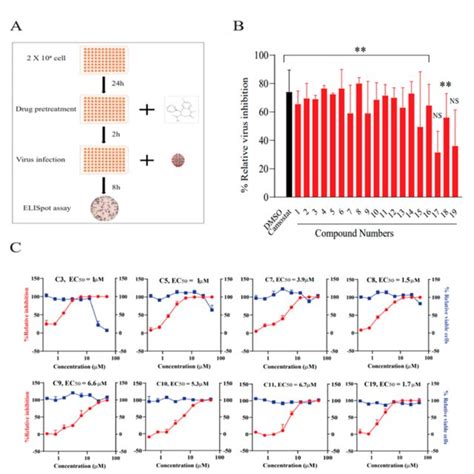 Overview Of Computational And Experimental Screening For Sars Cov 2 Download Scientific Diagram