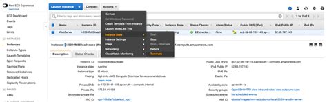 The Insider S Guide To AWS EC Create First EC Instance In Archer Imagine