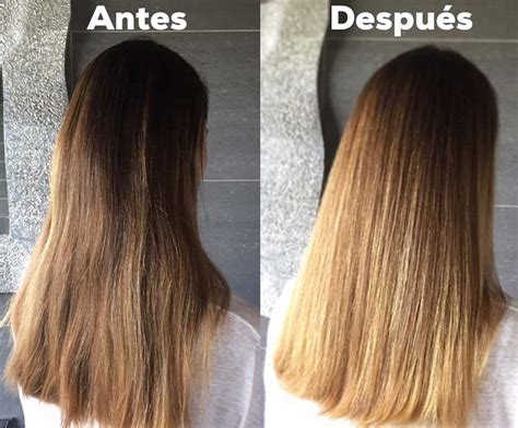 Aclarar el Cabello con Manzanilla Naturalmente y Rápido Hair styles Beauty Long hair styles