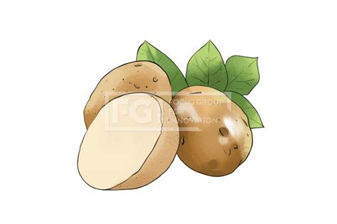 Spai219 프리진 일러스트 음식 음식물 제철 제철음식 시즌 계절 음식재료 재료 신선한 프레쉬 후레쉬