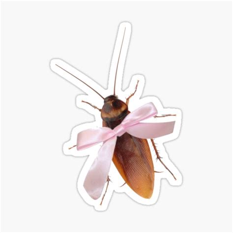 Coquette Roach Sticker Sticker For Sale By Designsbyhopeca Redbubble