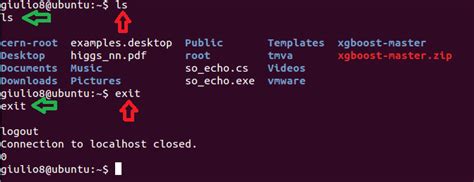Linux Interactive C System Process Not Echoing Input Stack Overflow