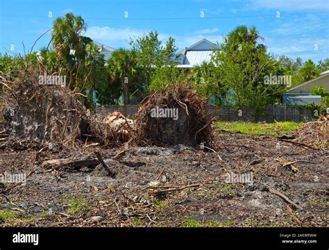 Anna Maria Island Fl October 2 2017aftermath Of Hurricane Irma On
