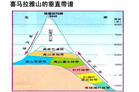 现代自然地理学：以世界名山为例说明山地垂直带谱百度知道