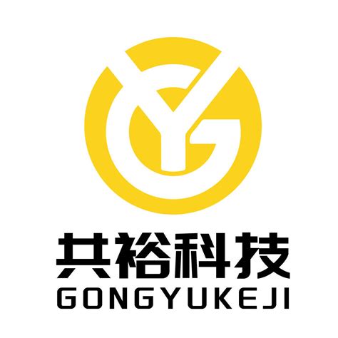 全国产芯片的发展历程产业中国企业
