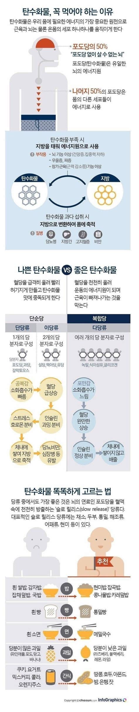 좋은 탄수화물 섭취하는 방법 일반 유머 sub 시보드