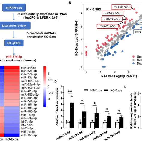 single cell rna seq analysis revealed a subpopulation of microglia with