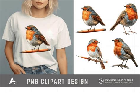 Watercolor Robin Pencil Clipart