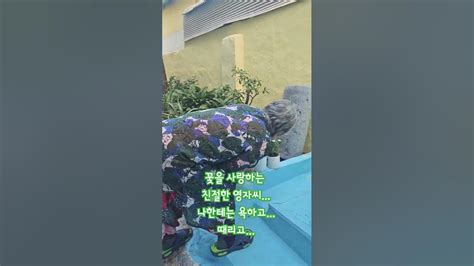 꽃을 사랑하는 친절한 영자씨 할머니 할머니집 욕쟁이할머니 Youtube