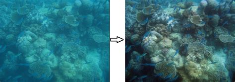 GitHub Siddiquiazam Underwater Image Enhancement