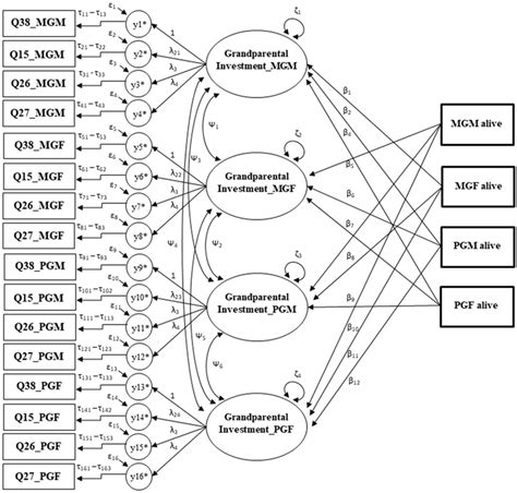 a graphical representation of the structural equation model used to