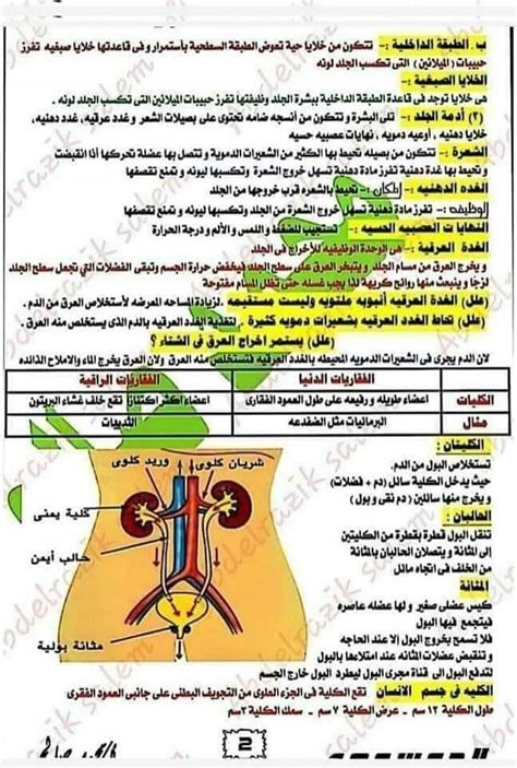 مذكرة مراجعة ليلة الامتحان احياء تانية ثانوي الترم الثاني منصة كتاتيب مصر