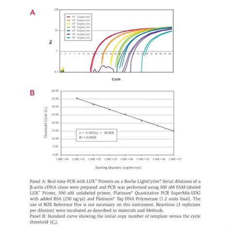 Amplification Plot For Real Time Pcr With Human 18s Rrna Lux ™ Primers Download Scientific
