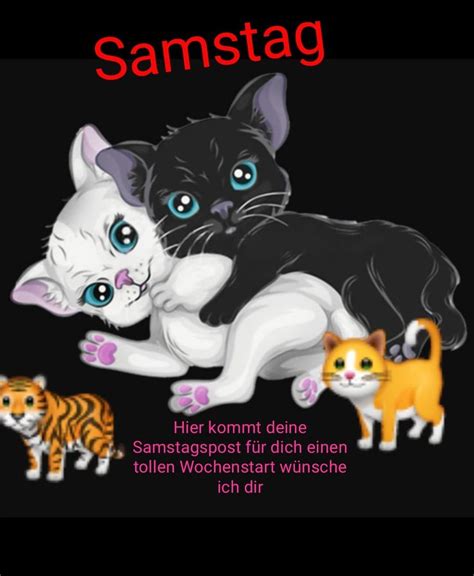 Pin Auf Samstag