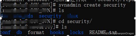 Linux系统下svn新建目录 Csdn博客