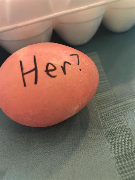 My Cousin Let Me Decorate One Of His Eggs Today Should I Get Her All