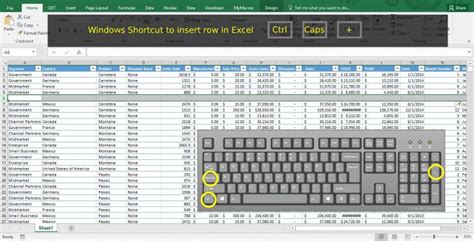 How To Insert A Row In Excel With Shortcuts MacrosInExcel Com