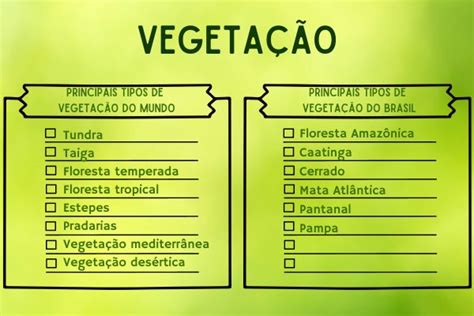 Biomas do mundo resumos dos principais biomas Toda Matéria