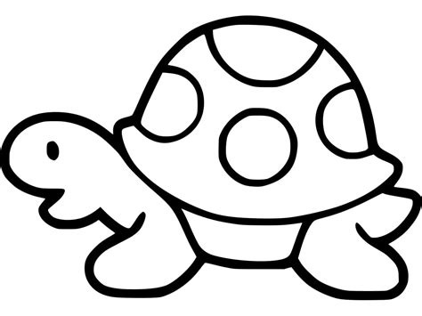 Tortoise Coloring Pages Coloringlib