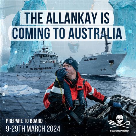 Allankaydownunder Seashepherdaustralia Sea Shepherd Australia