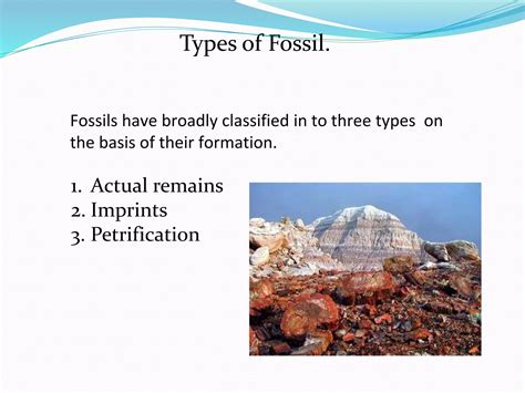 Types Of Fossils And Uses Pptx
